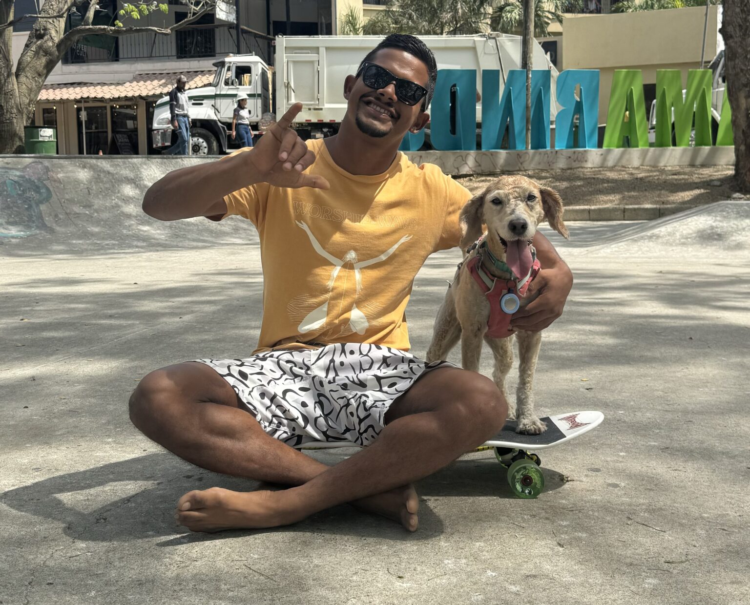 Skateboarding Basics for Dogs: 6 Easy Steps to Get Started | dogpacking.com