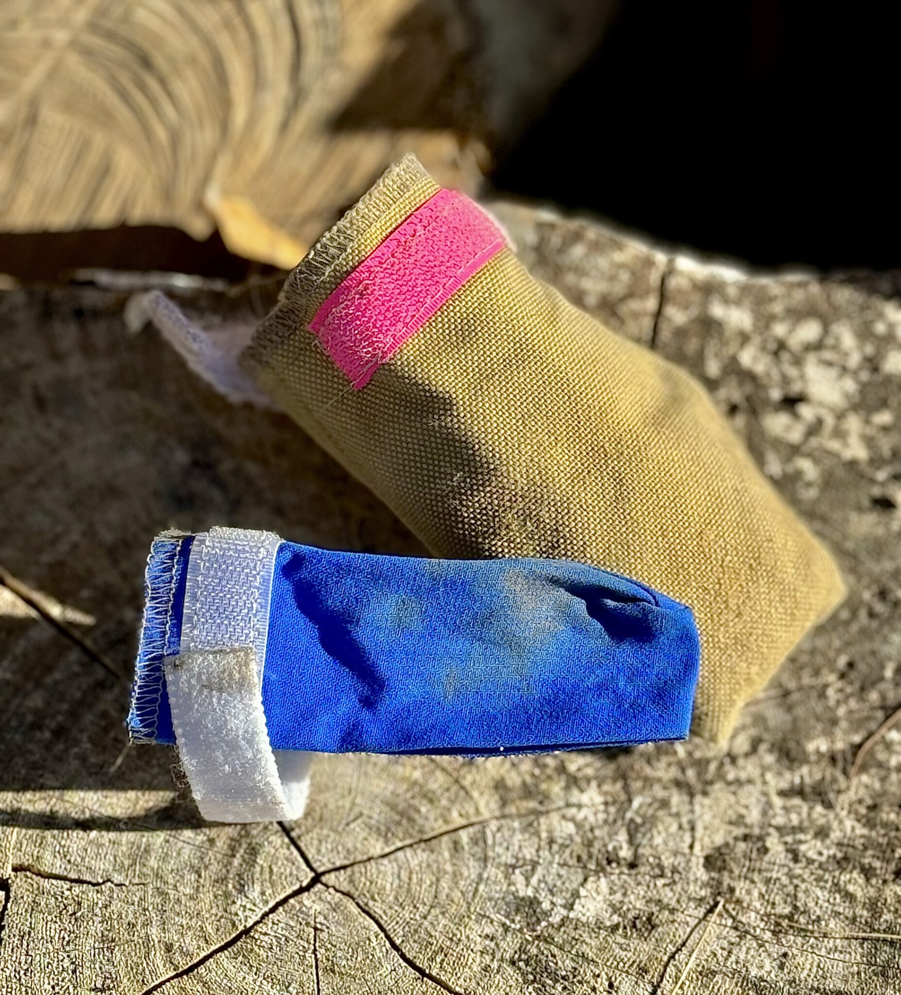 Dog Paw Anatomy and Footpad Care for Outdoor Adventures | dogpacking.com
