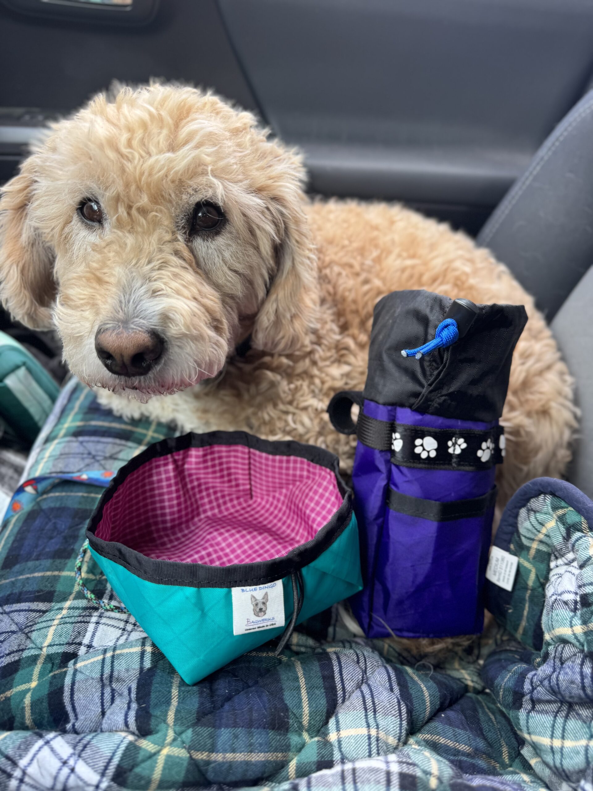 Shop for gear at dogpacking.com | Browse our Favourite Dogpacking Gear