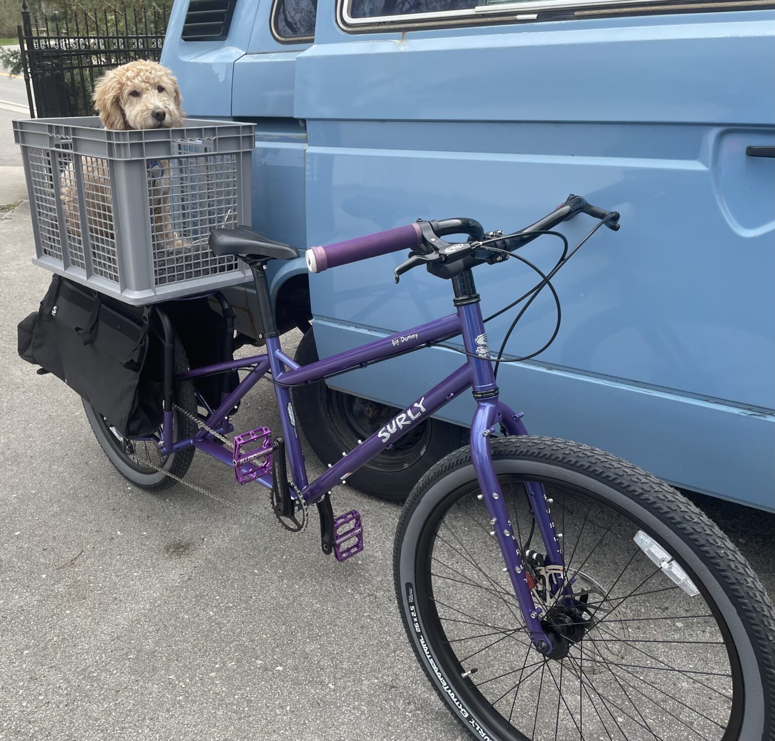 How to Bike With Your Dog: A Guide for New Dogpackers | dogpacking.com