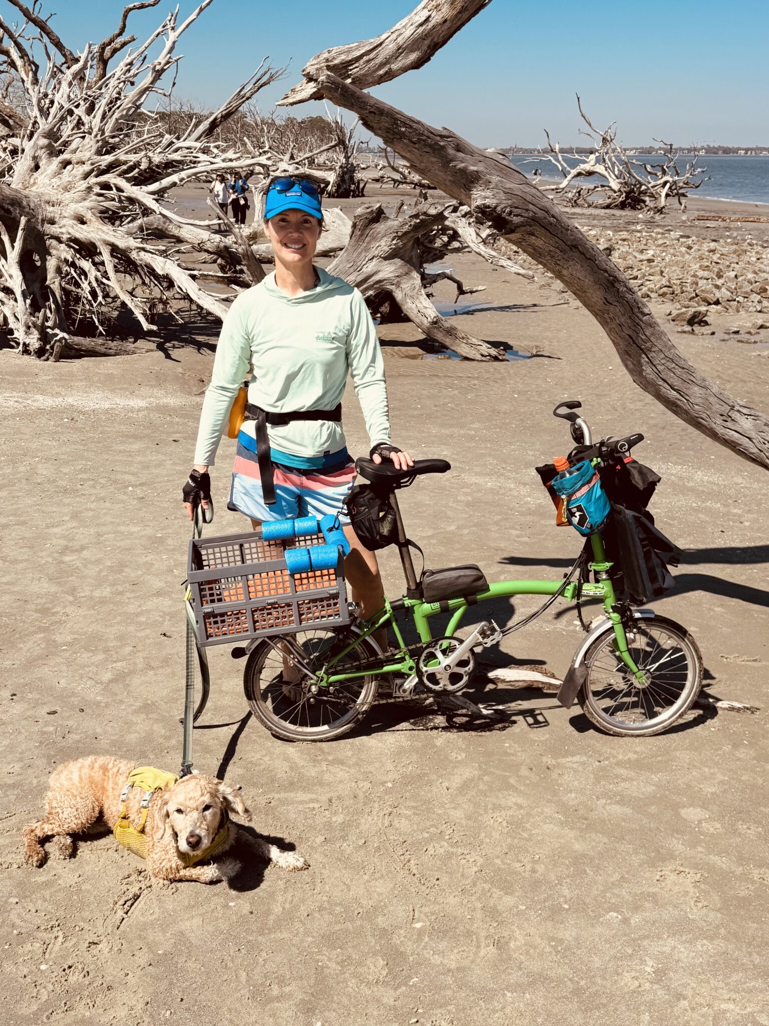 How to Bike With Your Dog: A Guide for New Dogpackers | dogpacking.com